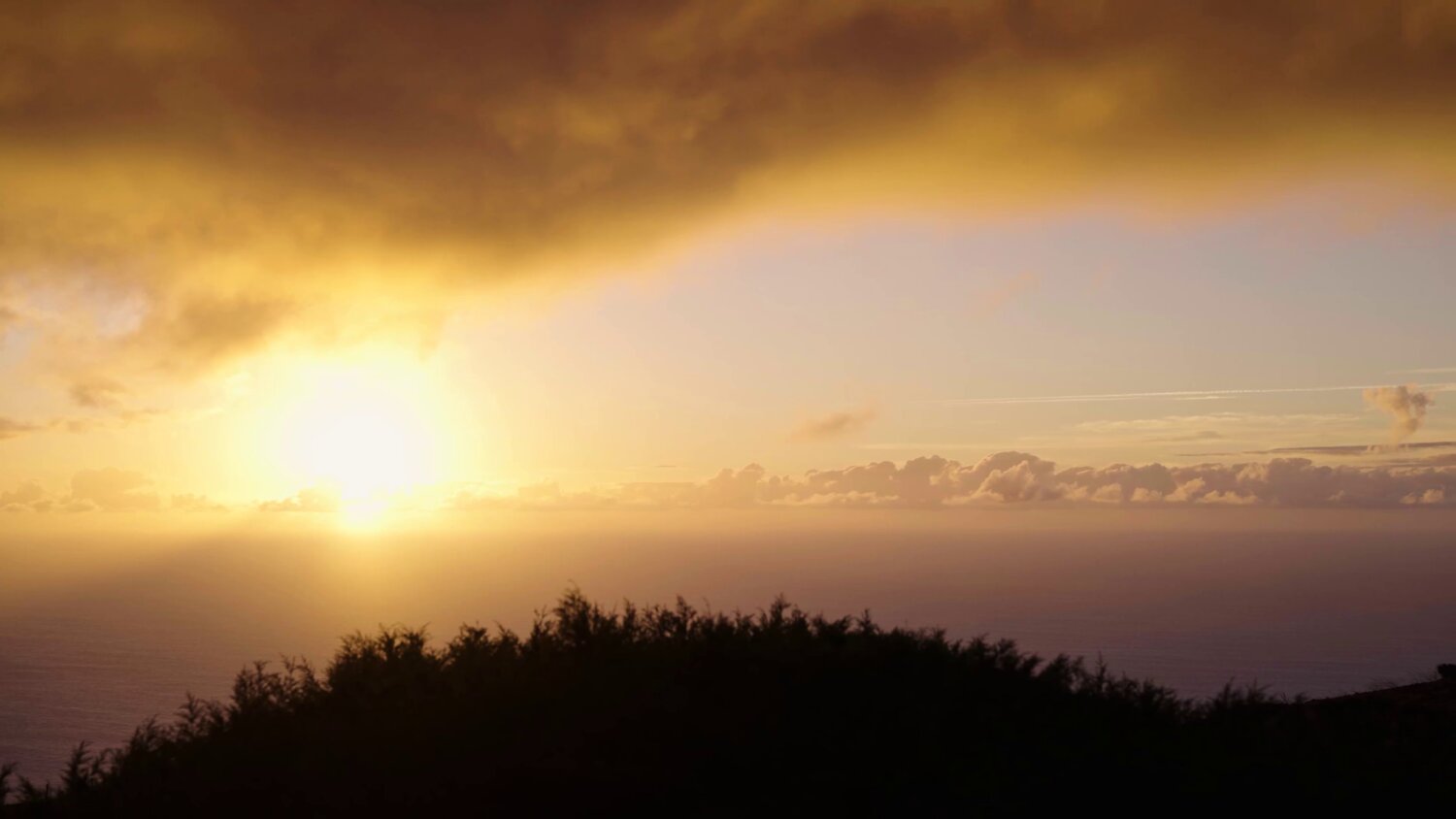 Sabinares canarios y rincones isleños