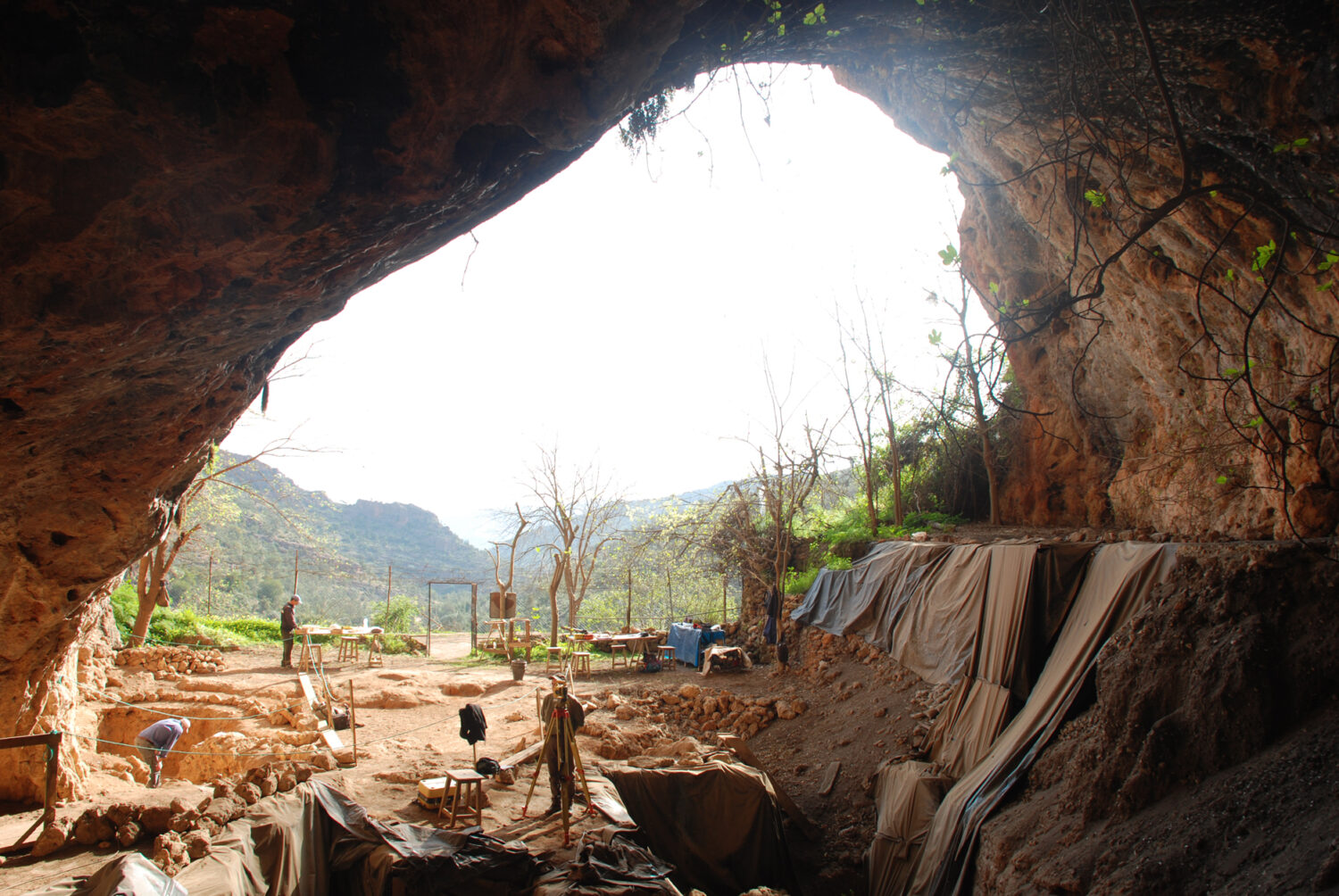 La ULPGC documenta el uso medicinal de plantas más antiguo