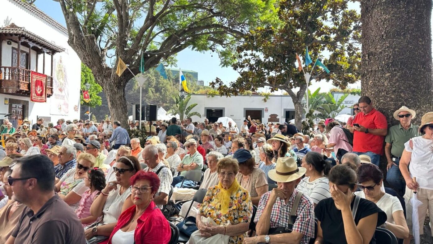 Bajada Virgen de las Nieves 2025 | Galería de imágenes